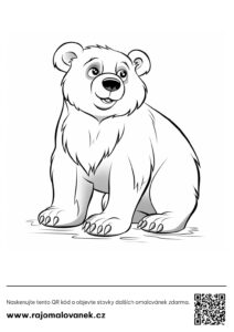 Omalovánky medvědi: Vytiskněte si zdarma a vybarvujte!